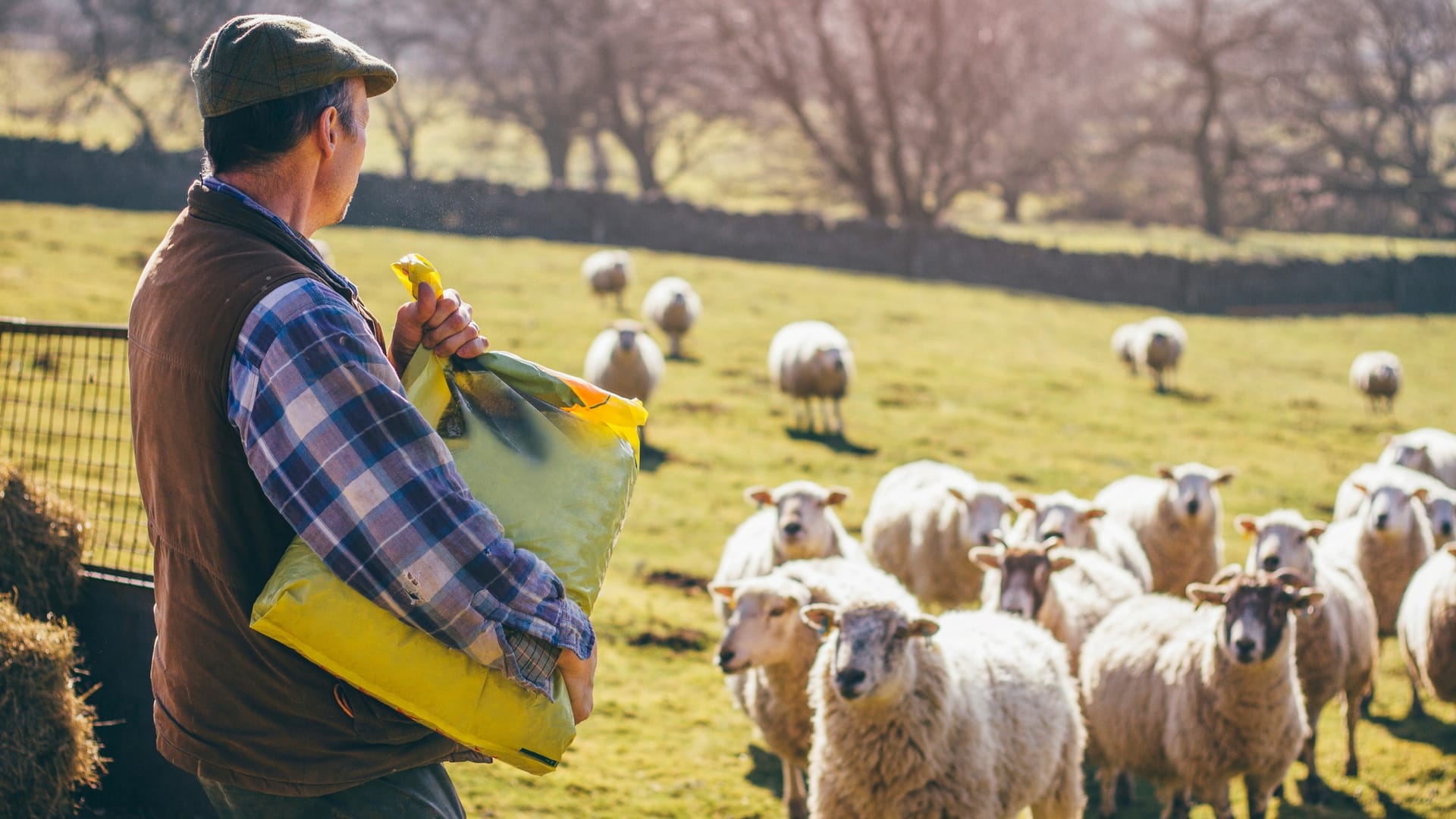 Pastores - Igreja Batista Alemã de São Paulo